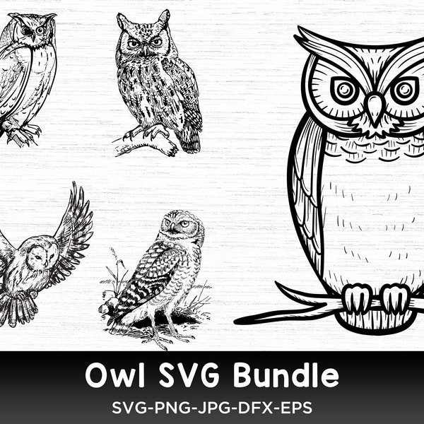 Owl Svg - Etsy