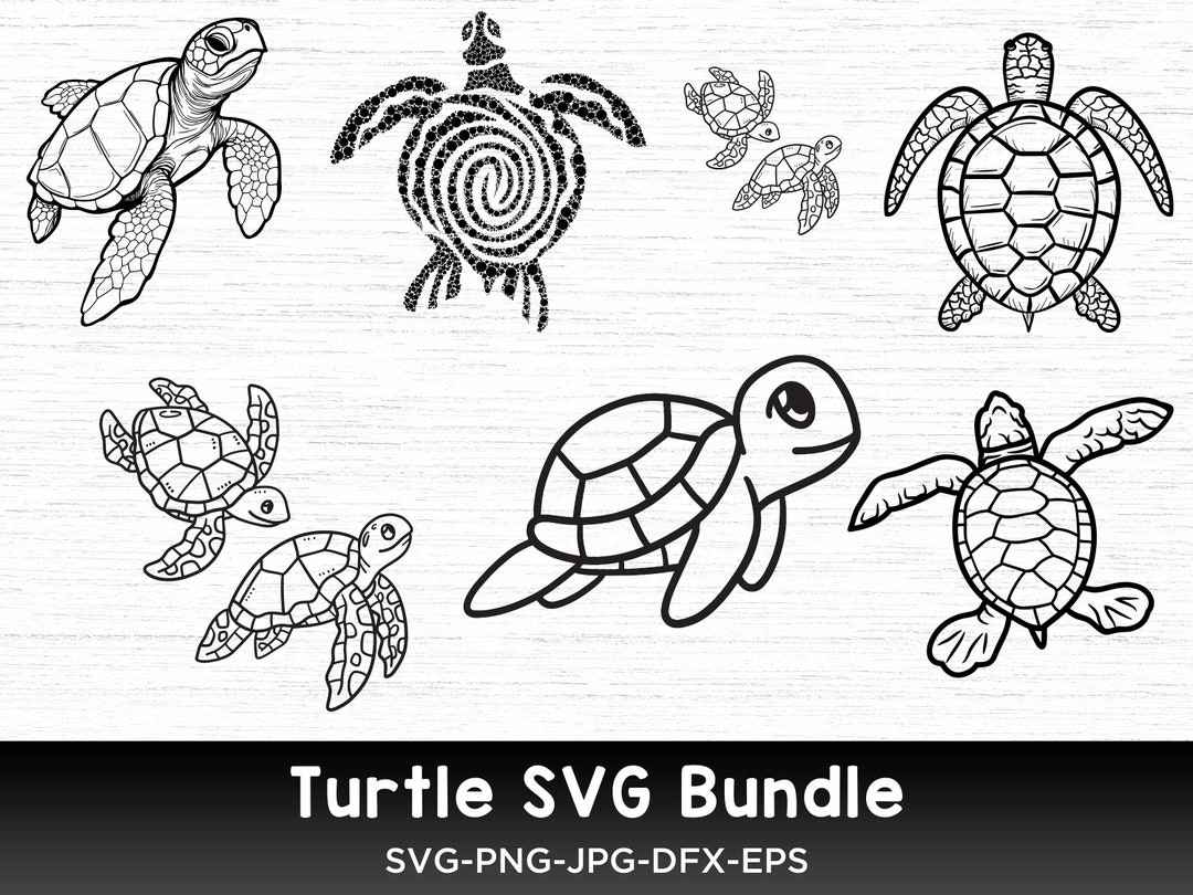 Turtle Svg Bundle, Sea Turtle Svg, Cute Sea Turtle Svg, Baby Turtle Svg ...