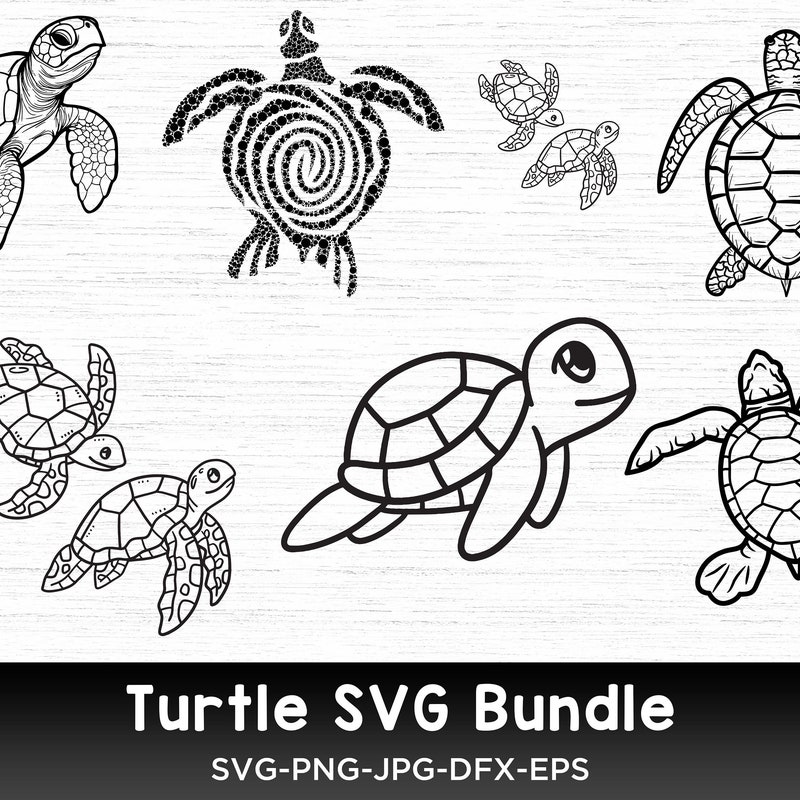 Turtle Svg - Etsy