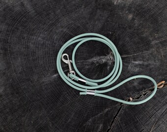 Biothane Rope Standard Leash - Etsy
