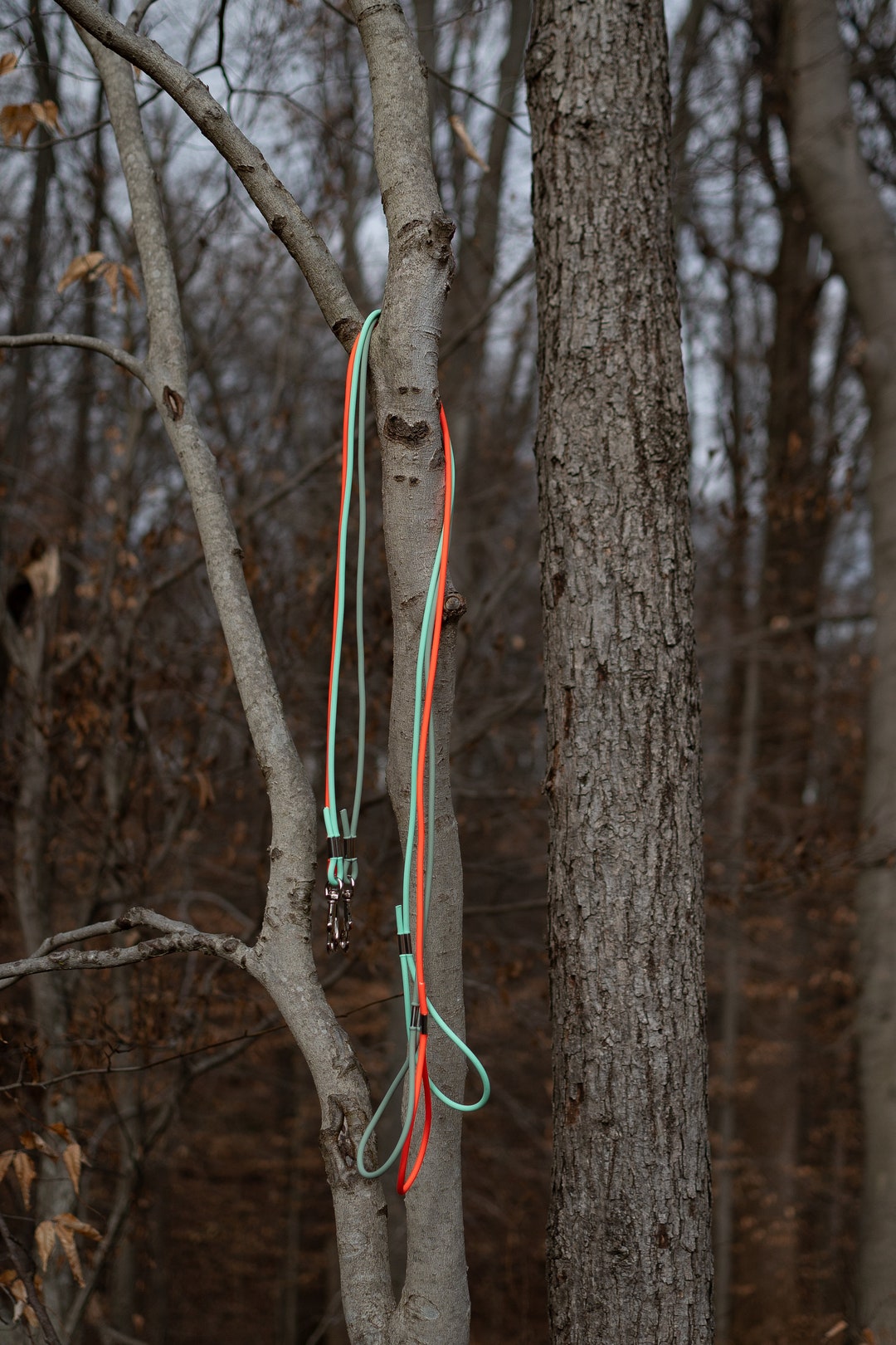 Biothane Rope Longline - Etsy