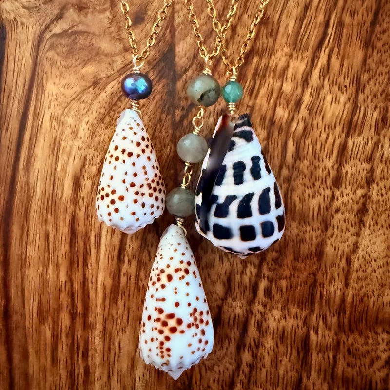 Cone Shell Jewelry - Etsy