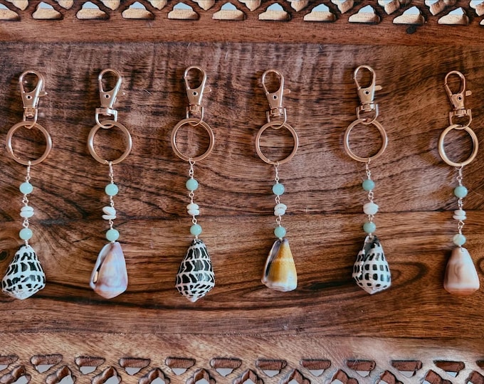 5 Pieces Assorted Clam Shell Coin Trinket Purse - Etsy