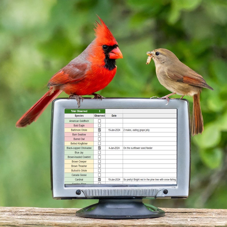 Backyard Bird Sighting Checklist - Etsy