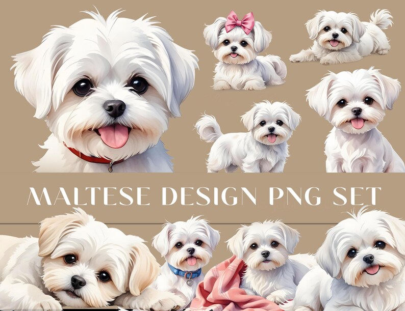 Maltese Watercolor Cute Modern Clipart PNG Bundle | Maltese Dog | Dogs ...