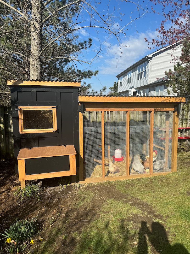 DIY Chicken Coop W/instant Download - Etsy