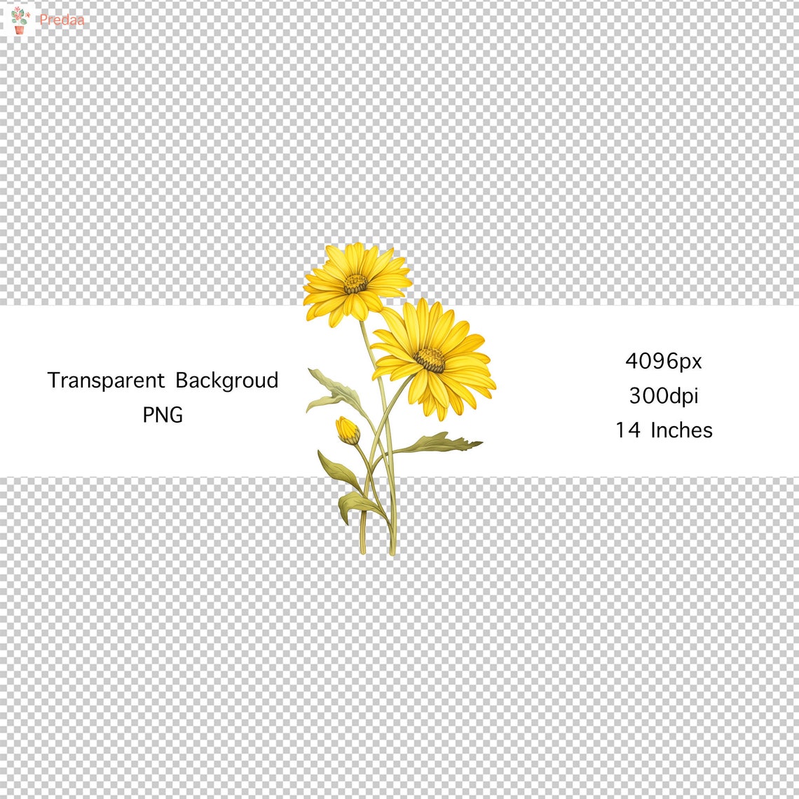 April Birth Month Flower, Birth Month Flower Png, Personal Birthflower ...
