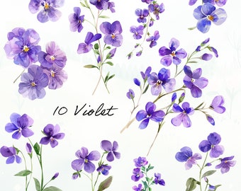 February Birth Month Flower, Birth Month Flower Png, Personal ...