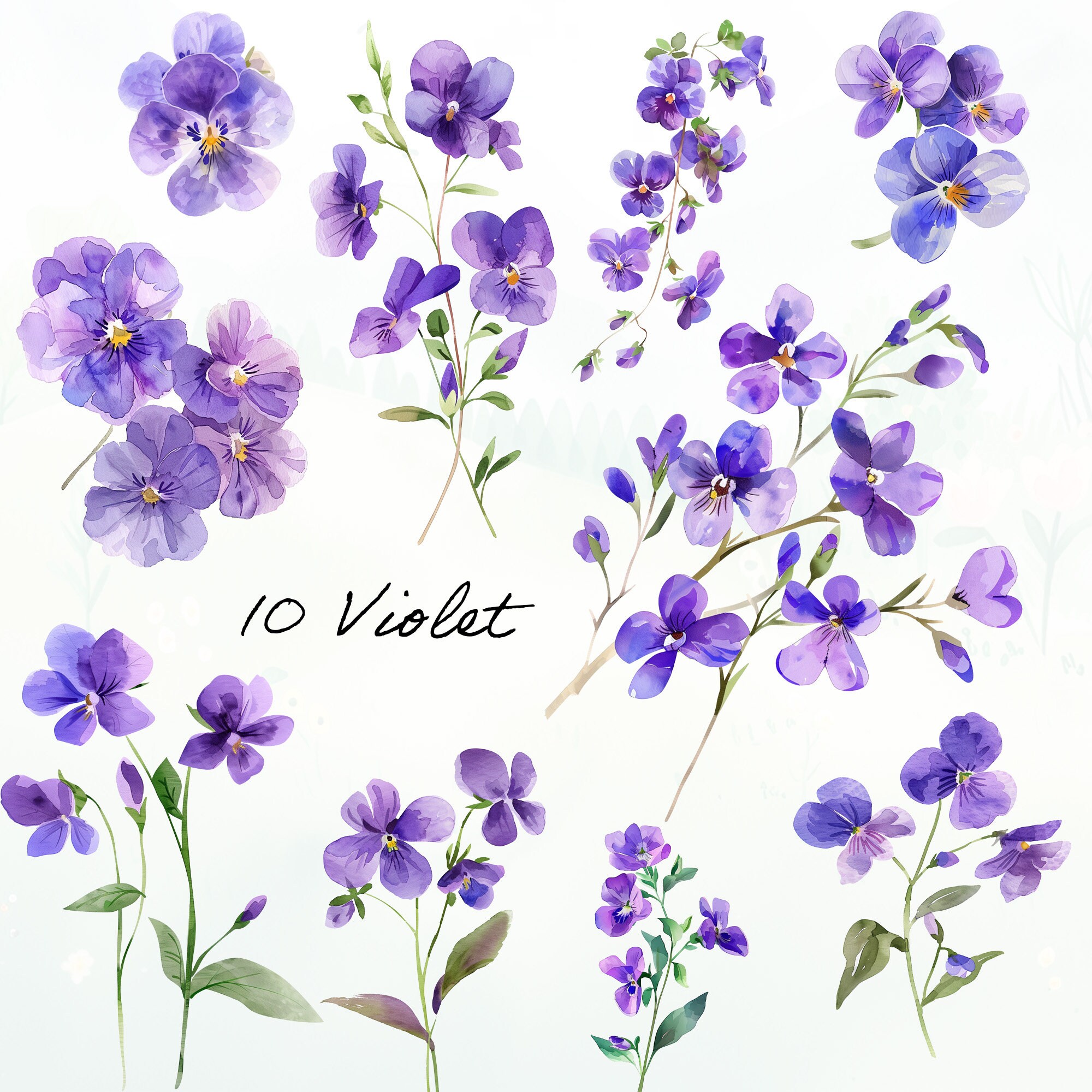 February Birth Month Flower, Birth Month Flower Png, Personal ...