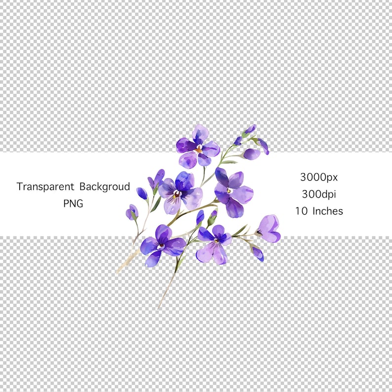 February Birth Month Flower, Birth Month Flower Png, Personal ...