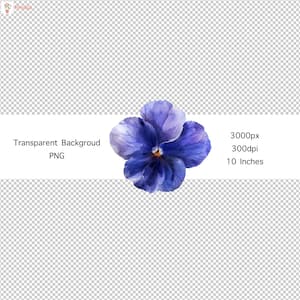 February Birth Month Flower, Birth Month Flower Png, Personal ...