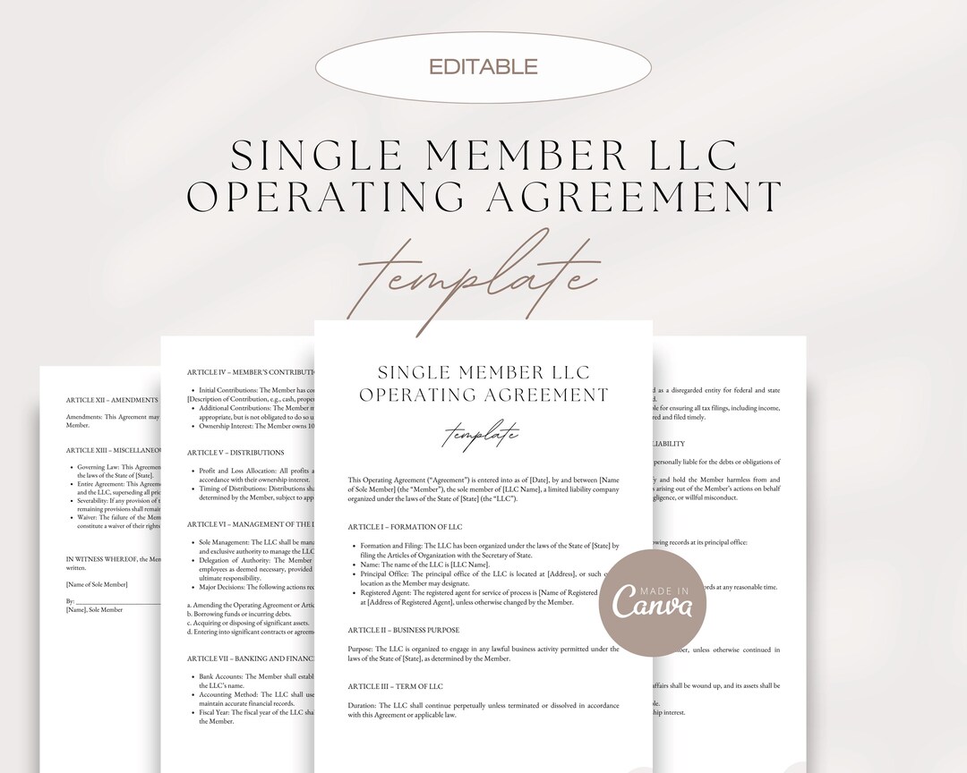 Editable Single Member LLC Operating Agreement, Professional LLC ...