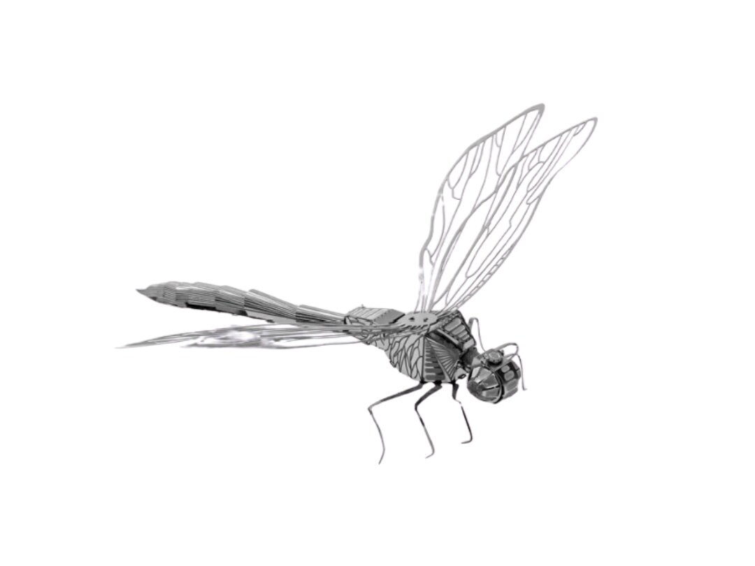 Dragonfly Metal Model Kit 3D Puzzle Craft Gift Laser Cut Puzzles Jigsaw ...