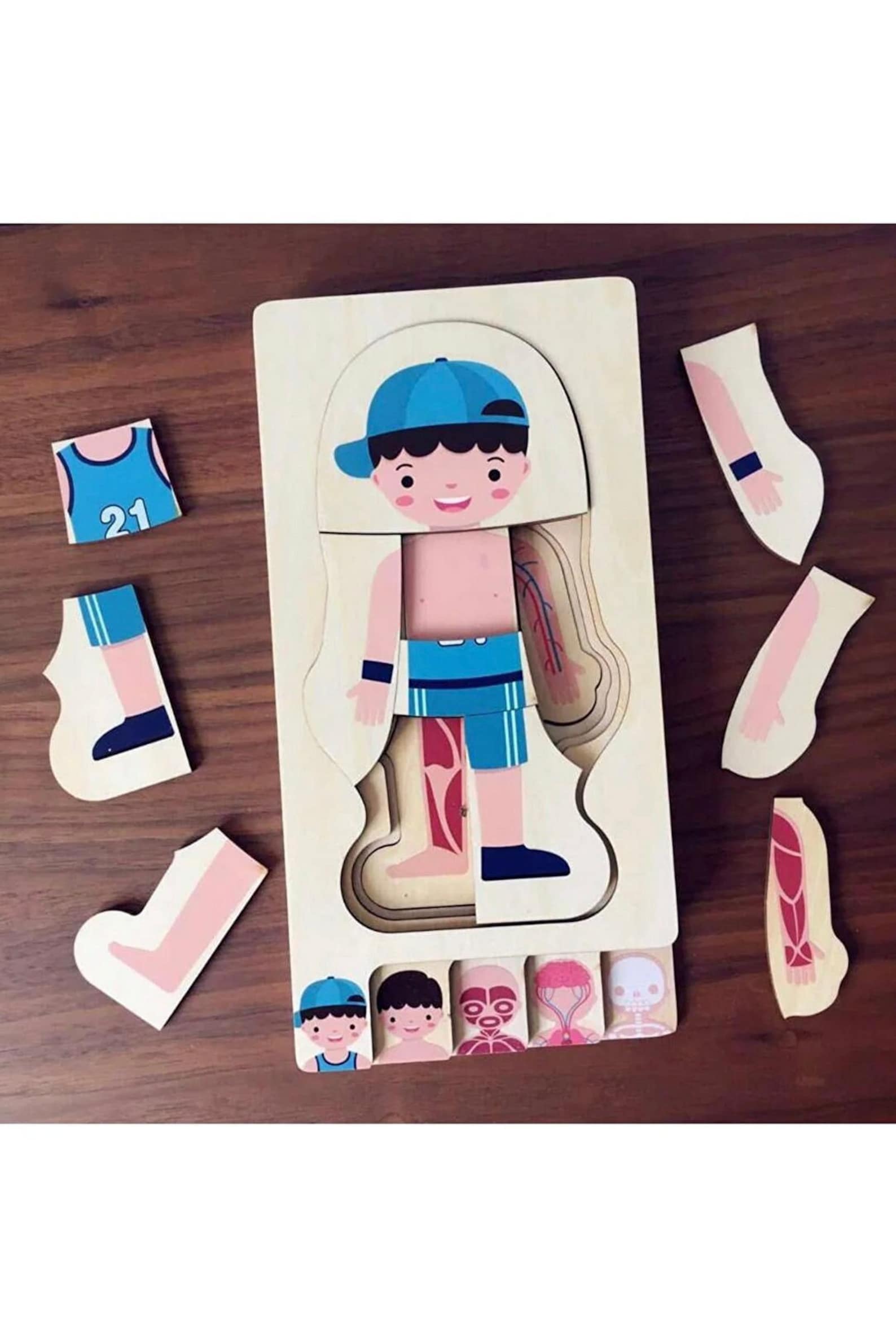Montessori Human Body Puzzle, Anatomy Puzzle, Montessori Toys, Kids ...
