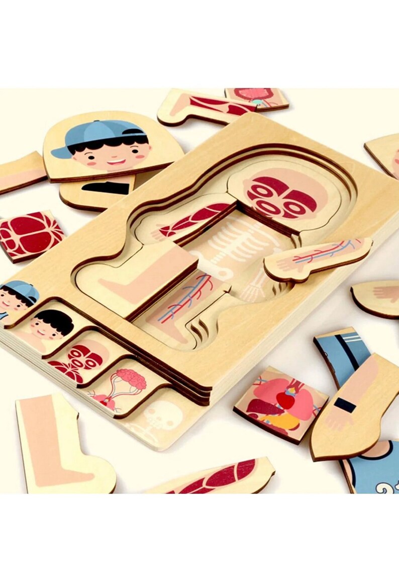 Montessori Human Body Puzzle, Anatomy Puzzle, Montessori Toys, Kids ...