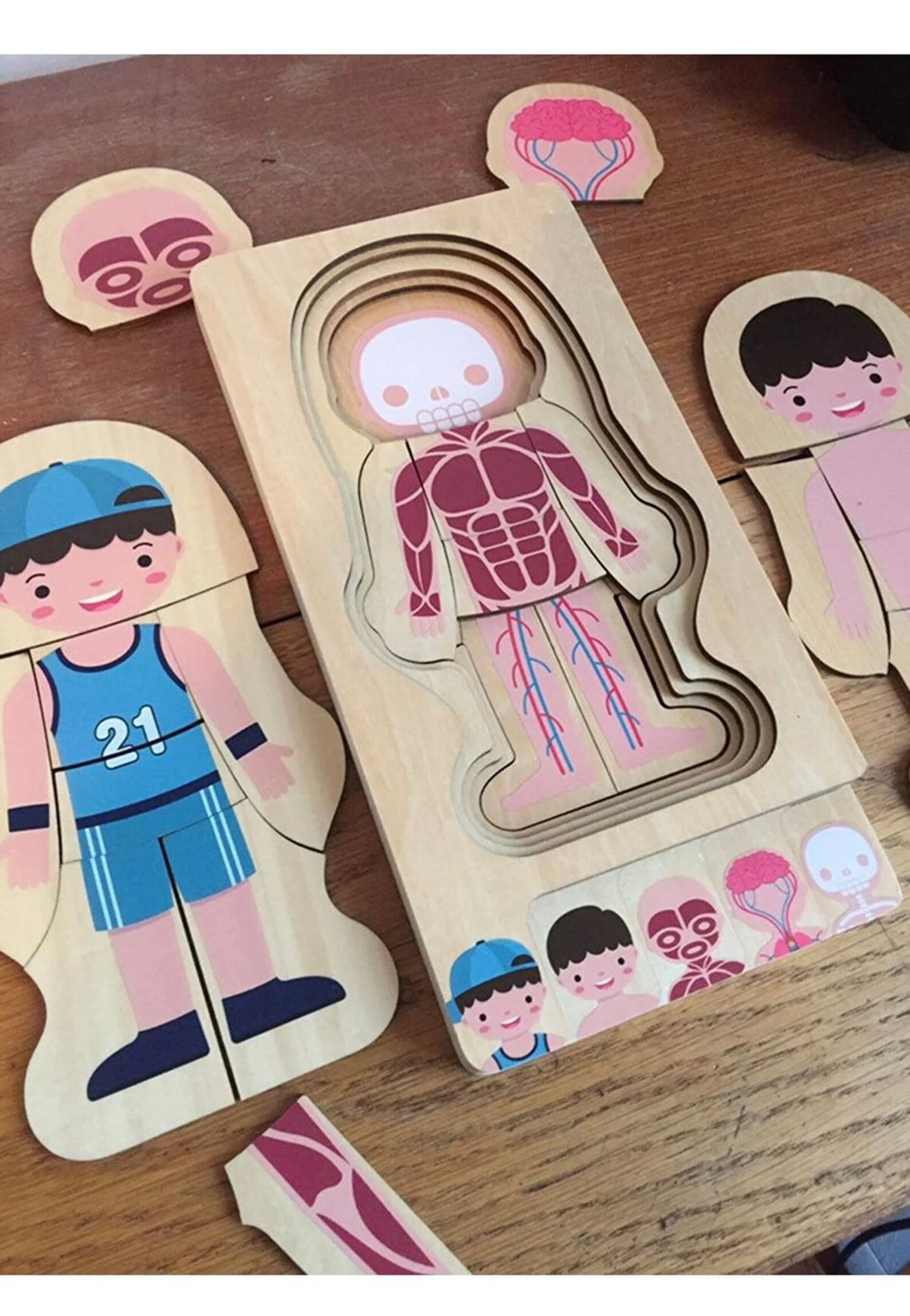 Montessori Human Body Puzzle, Anatomy Puzzle, Montessori Toys, Kids ...