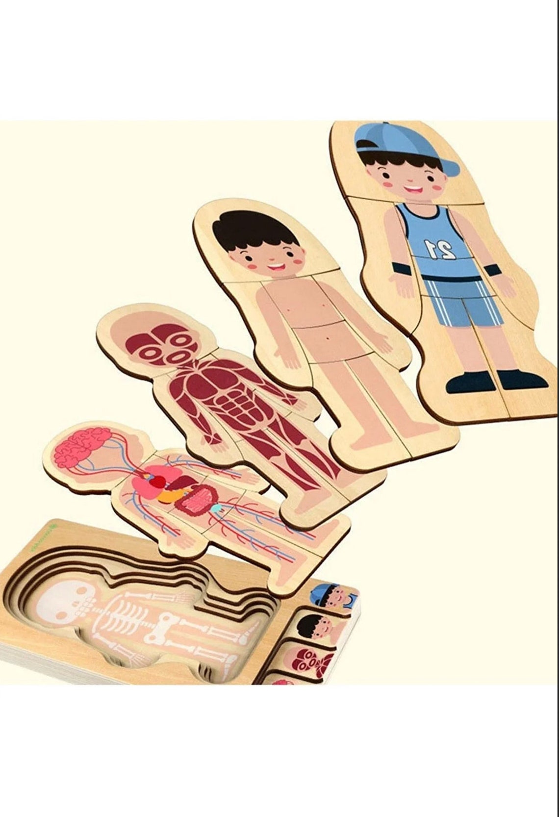 Montessori Human Body Puzzle, Anatomy Puzzle, Montessori Toys, Kids ...