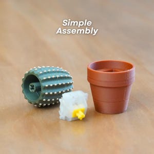 3D Printed Clicky Cacti Fidget Toy | Pocket Plant With Mechanical ...