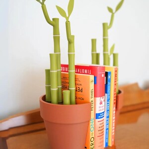 3D Printed Bamboo Bookends | Functional Desk Organizer for Pens ...