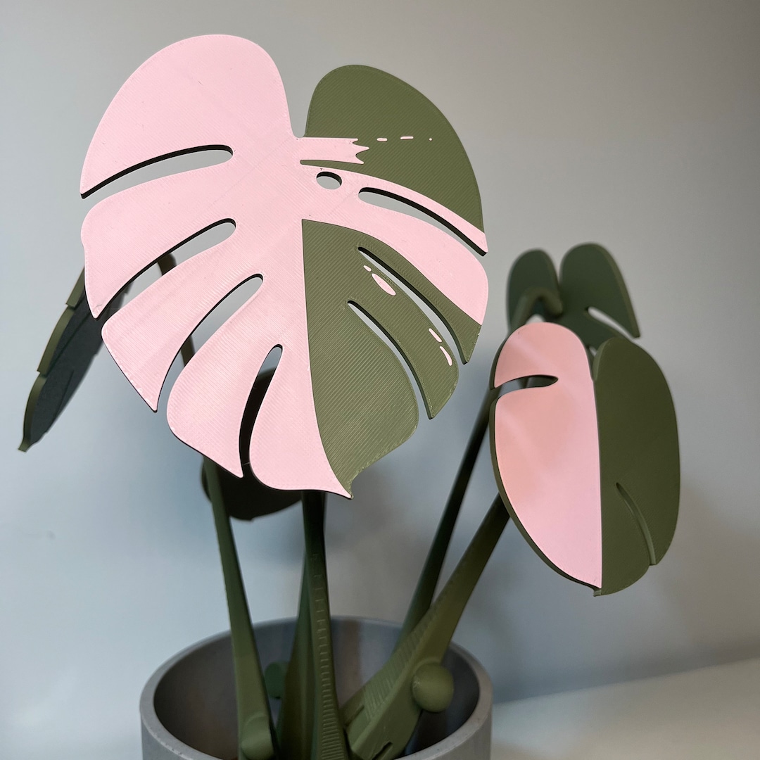 Pink Monstera Coaster Plant | Pink Monstera 3D Printed House Plant With ...