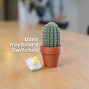 3D Printed Clicky Cacti Fidget Toy | Pocket Plant With Mechanical ...