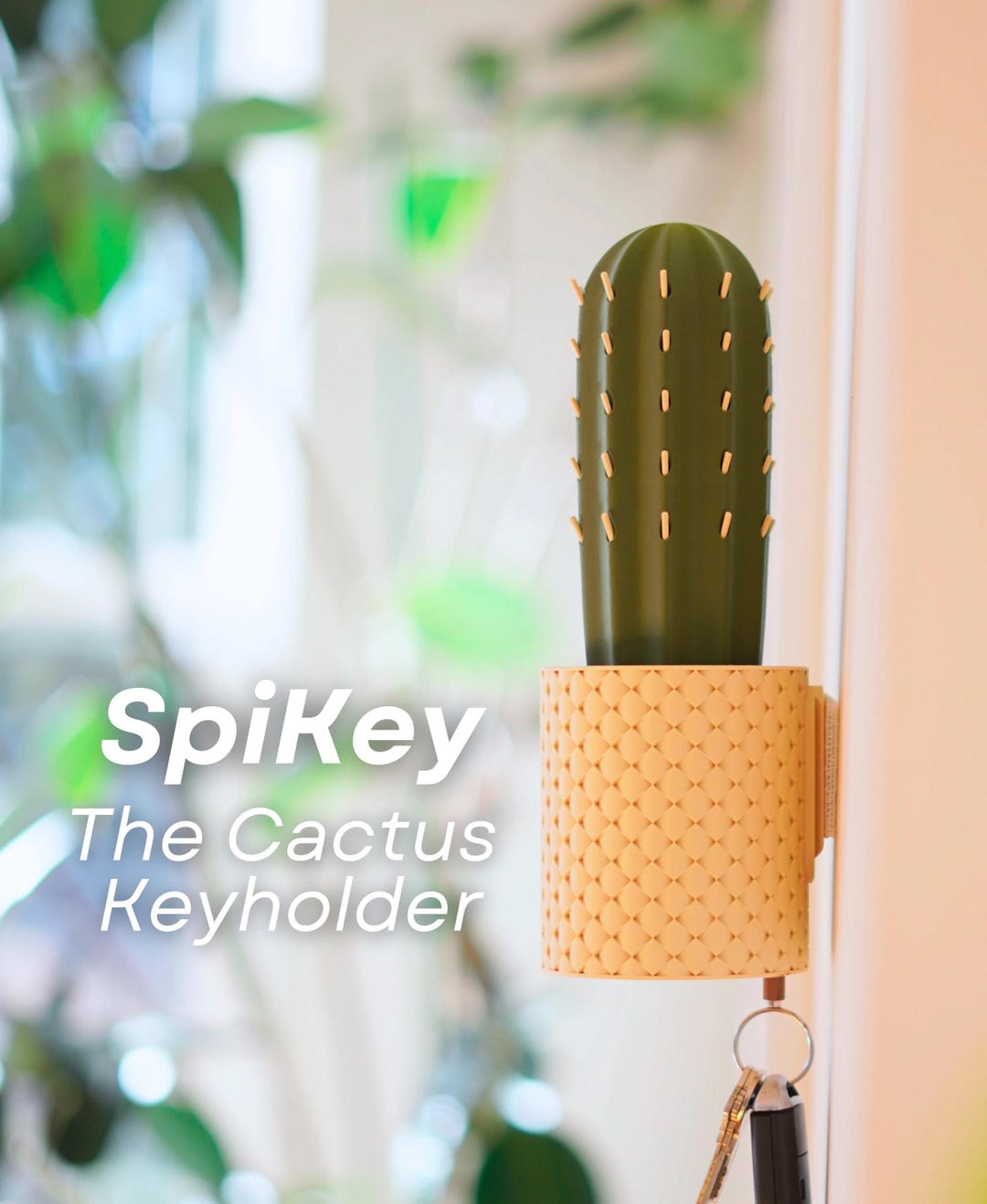 Spikey Key Holder | Cactus Key Holder | Wall Mounted Key Rack ...