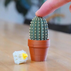 3D Printed Clicky Cacti Fidget Toy | Pocket Plant With Mechanical ...