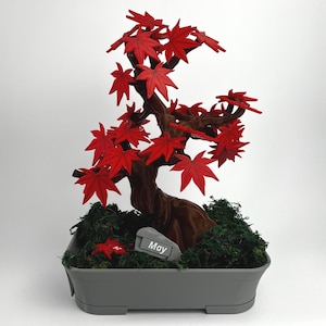 3D Printed Bonsai Tree Calendar - Japanese Maple Desk Decor - Perpetual ...