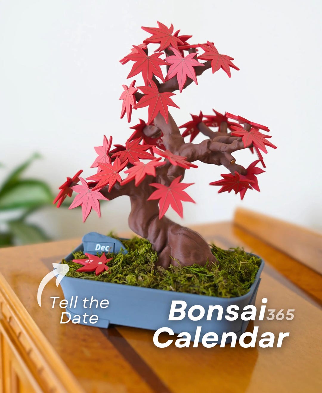 3D Printed Bonsai Tree Calendar - Japanese Maple Desk Decor - Perpetual ...