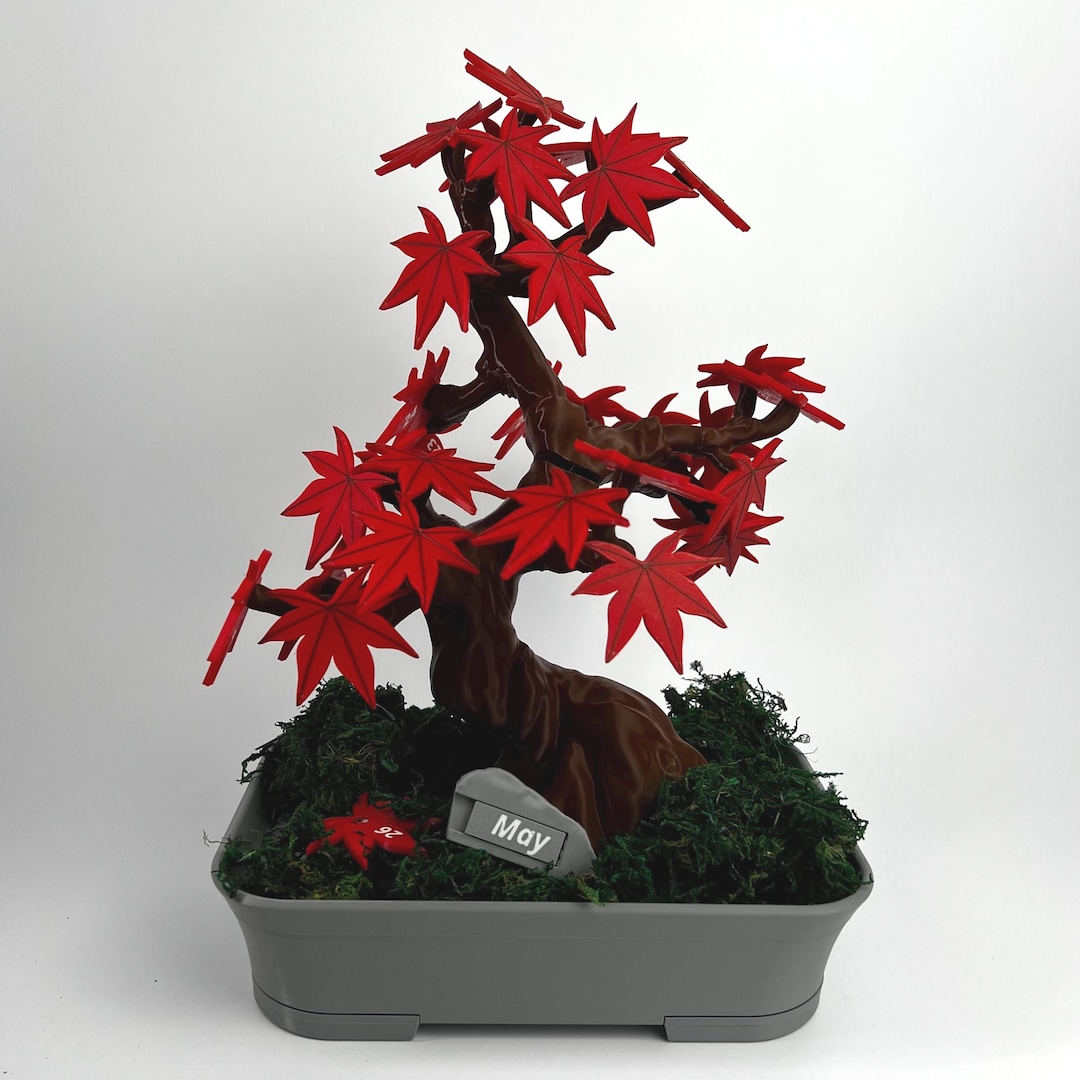 3D Printed Bonsai Tree Calendar - Japanese Maple Desk Decor - Perpetual ...