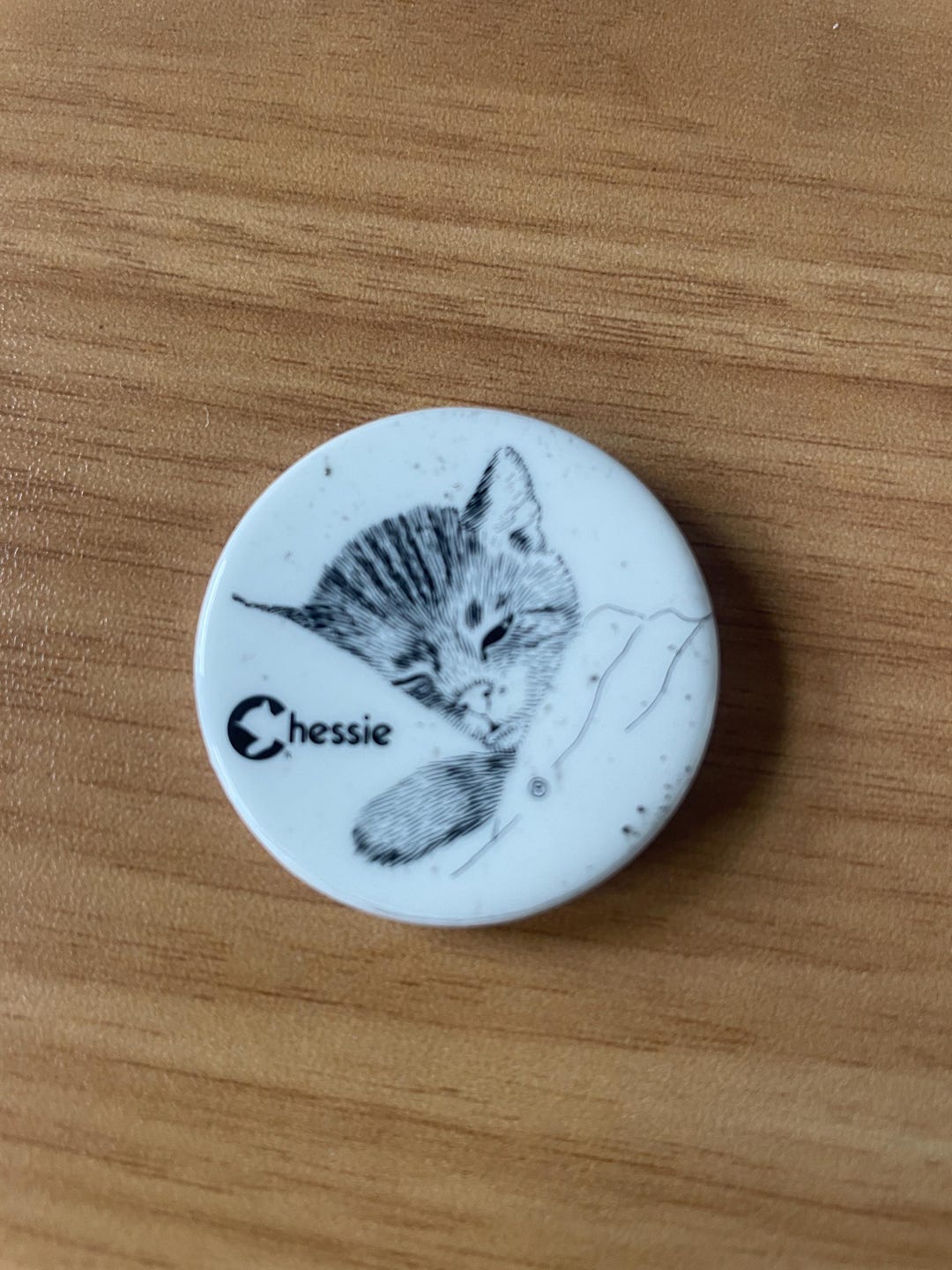 Vintage Chessie System Fox Kitten Railroad Pinback Button 1970s - Etsy