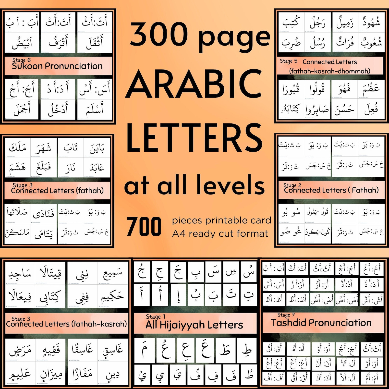 Arabic Hijaiyah Letters Alphabet Printable Quran Learning البطاقات ...