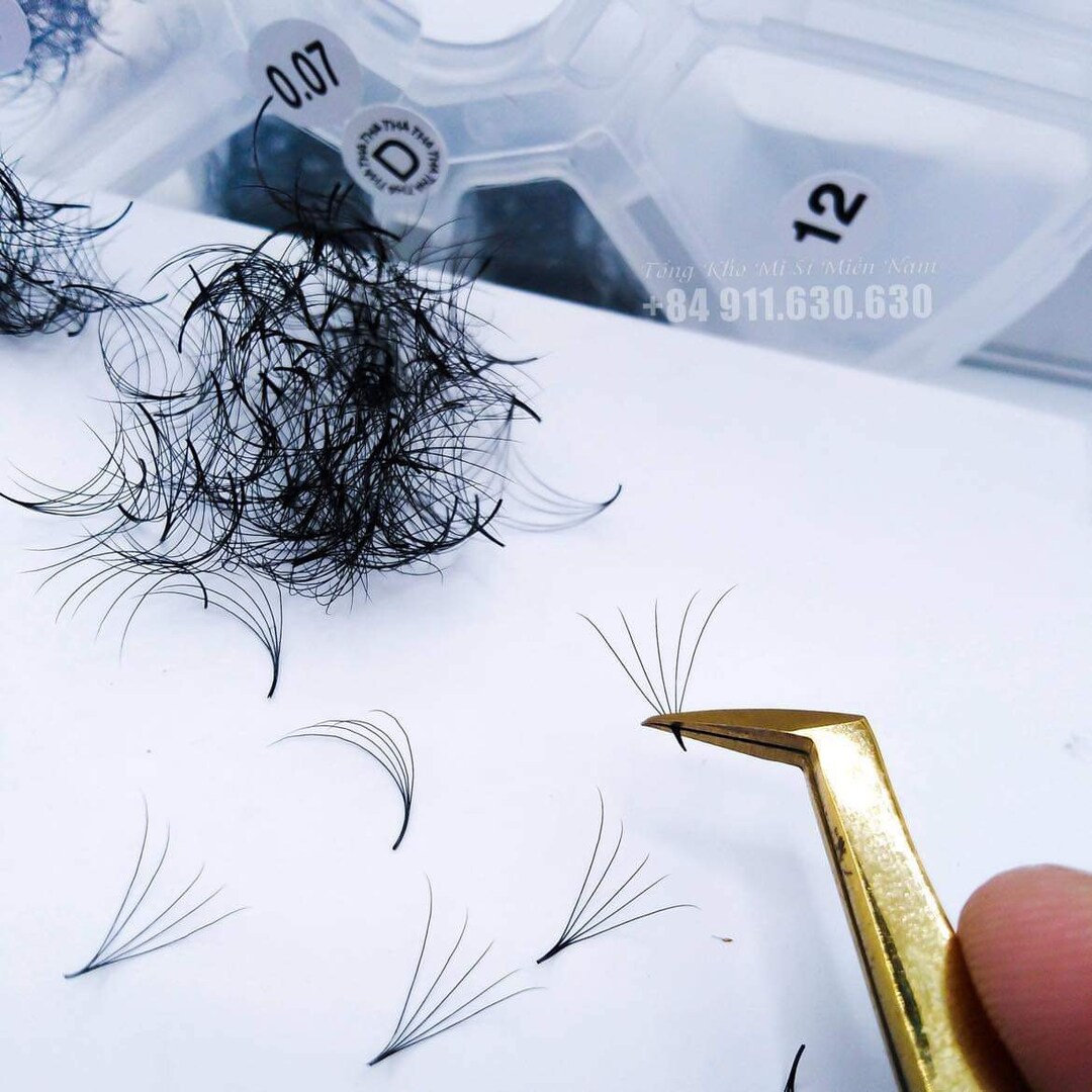Eyelash Fan 5D Premade - Etsy