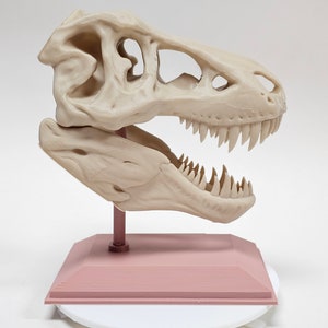 T-rex Model and Stand 3D Printed Tyrannosaurus Rex Dinosaur Skull With ...