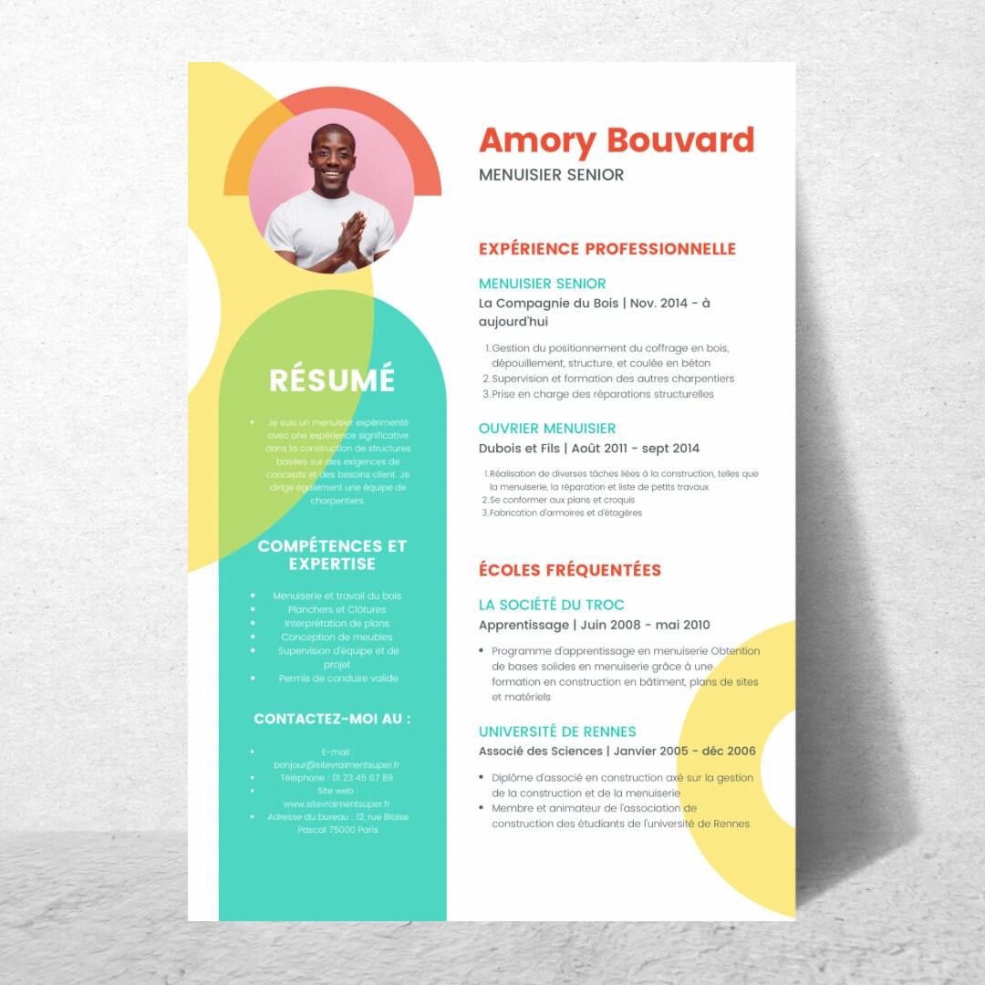 Editable Professional Cvs in Pdf, Word, Jpg Format - Etsy