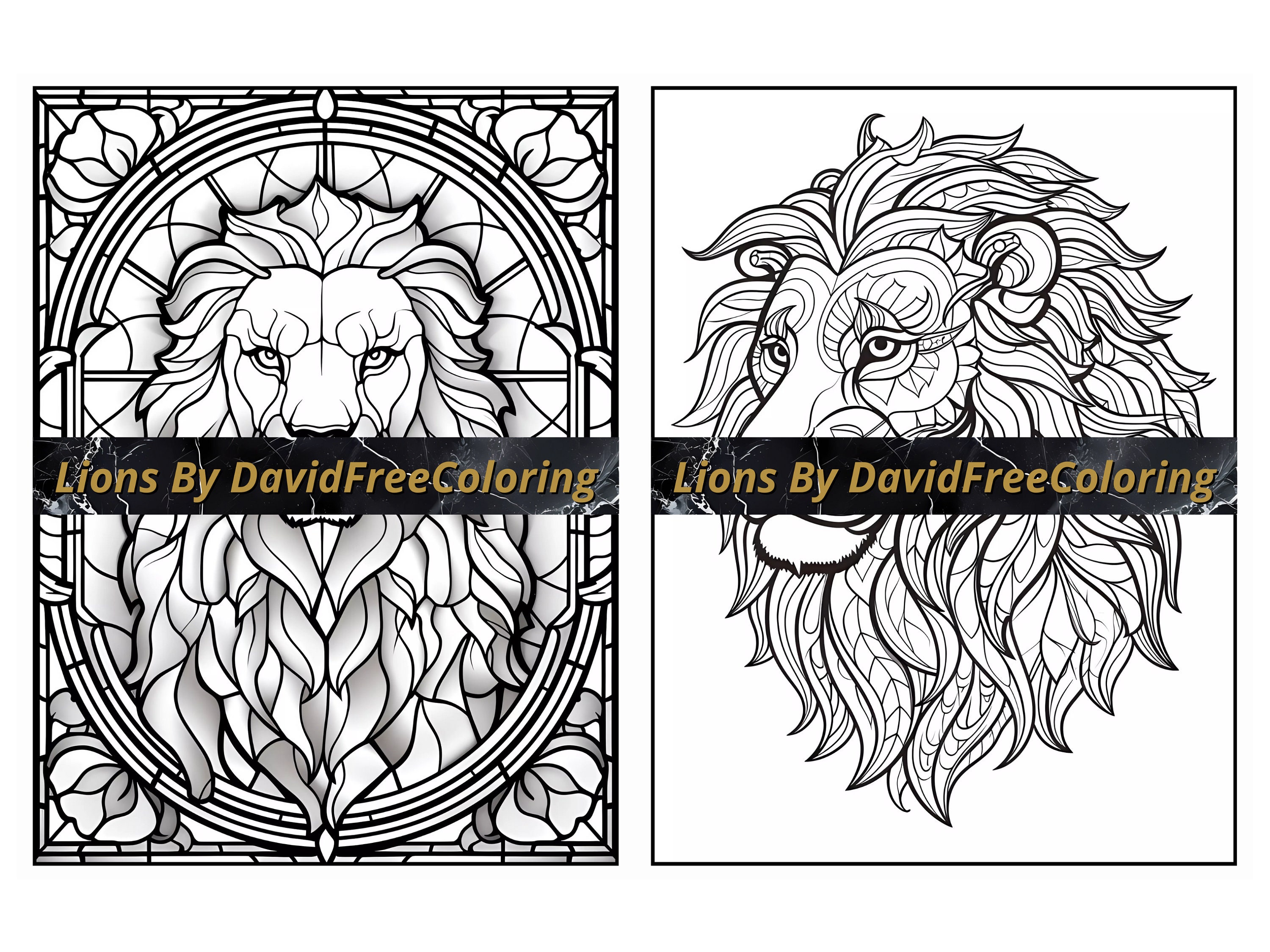 50 Lions Coloring Book Lions Coloring Images for Adult Coloring Pages ...