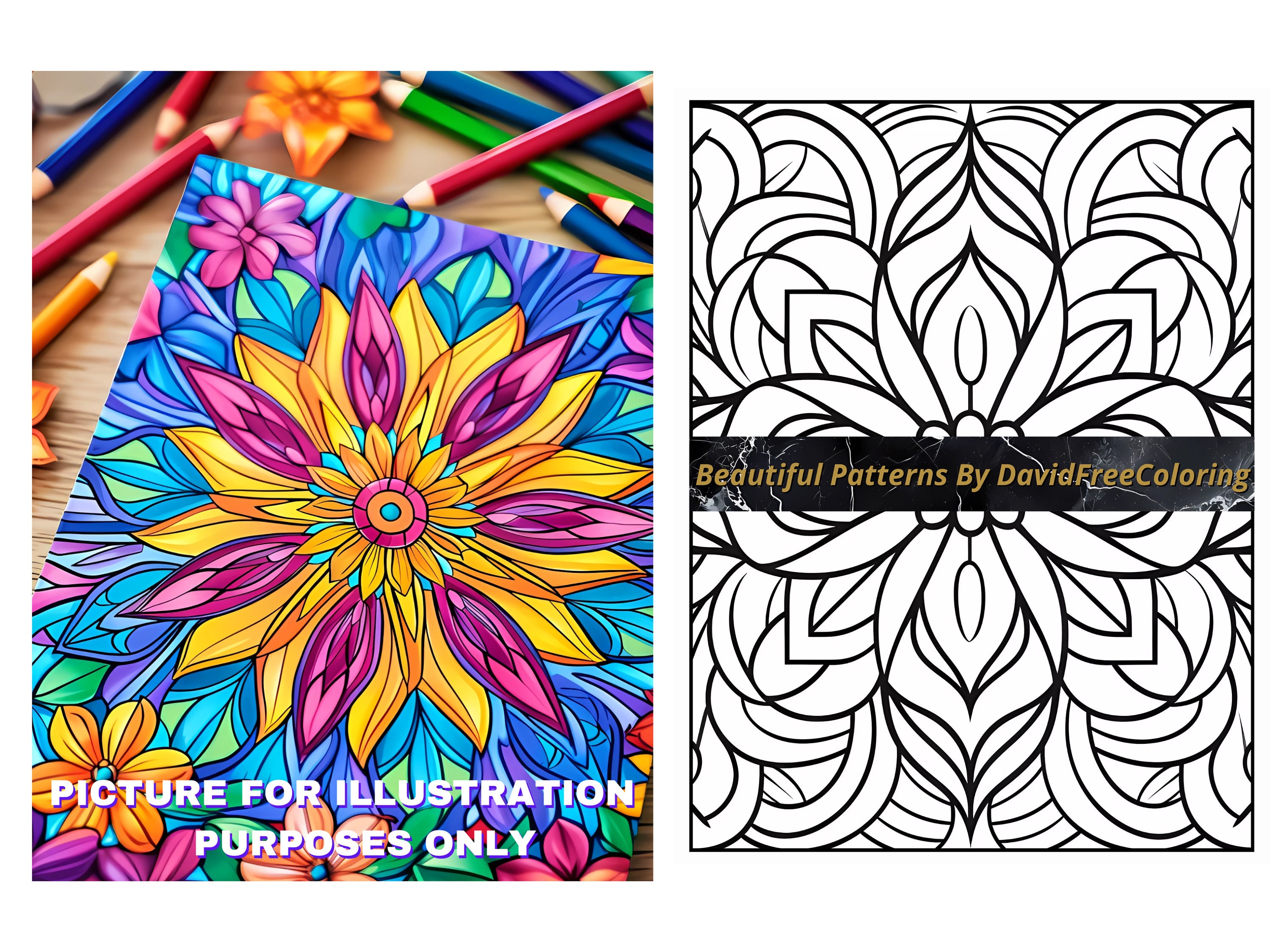 100 Beautiful Pattern Coloring Book Patterns Images for Adult Coloring ...