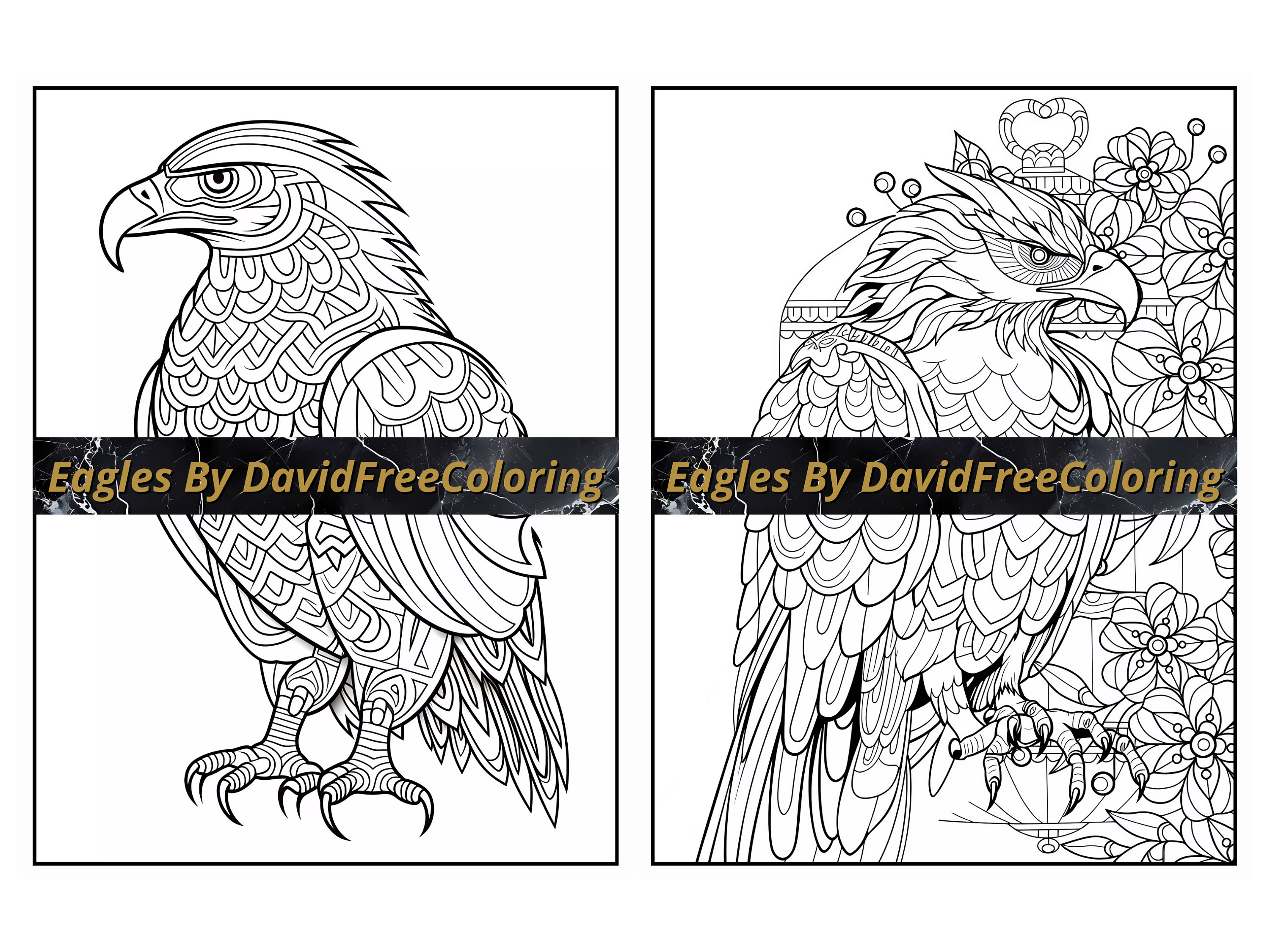 40 Eagles Coloring Book Eagles Coloring Image for Adult Coloring Pages ...