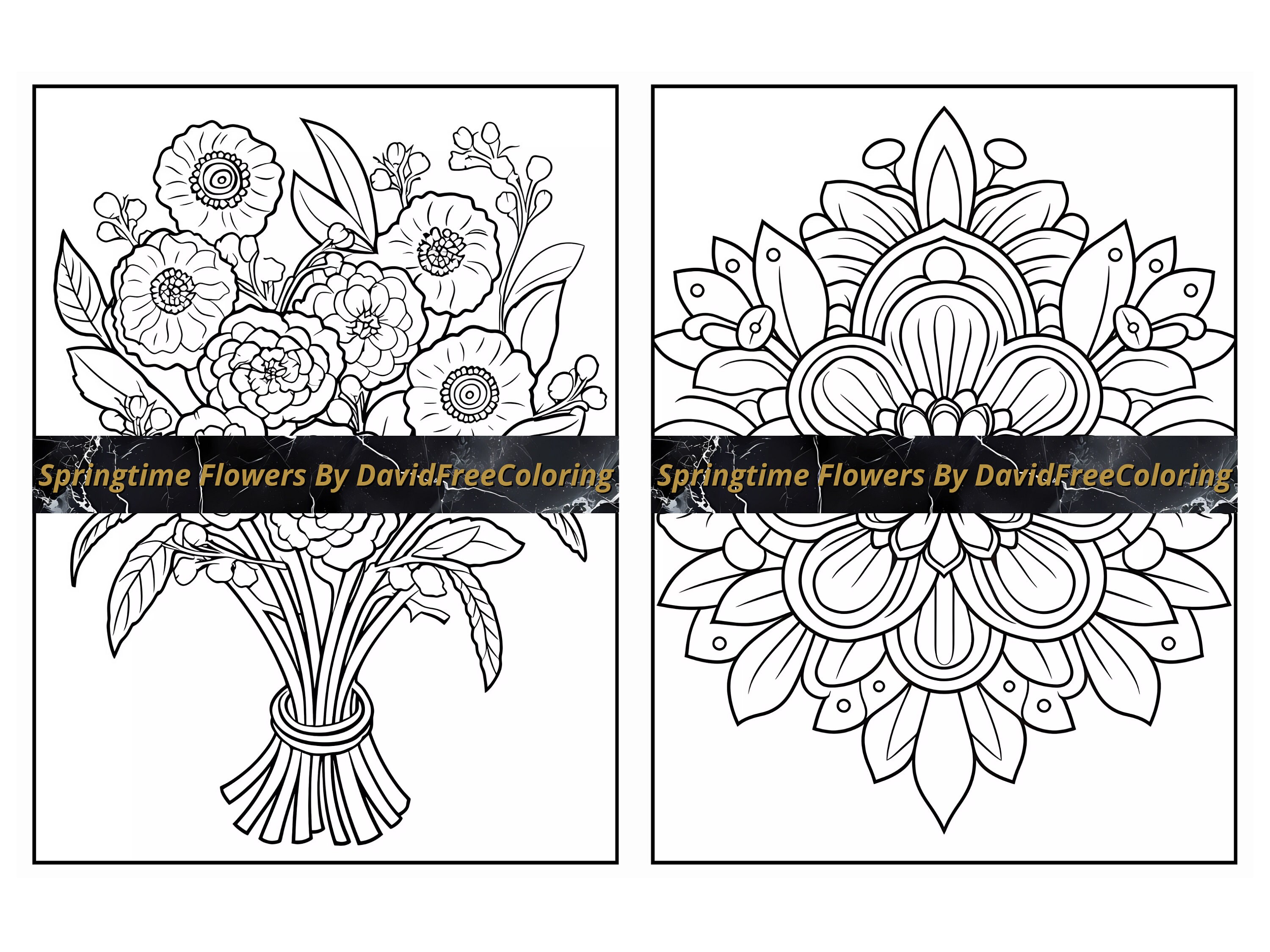 80 Springtime Flowers Coloring Book Spring Images for Adult Coloring ...