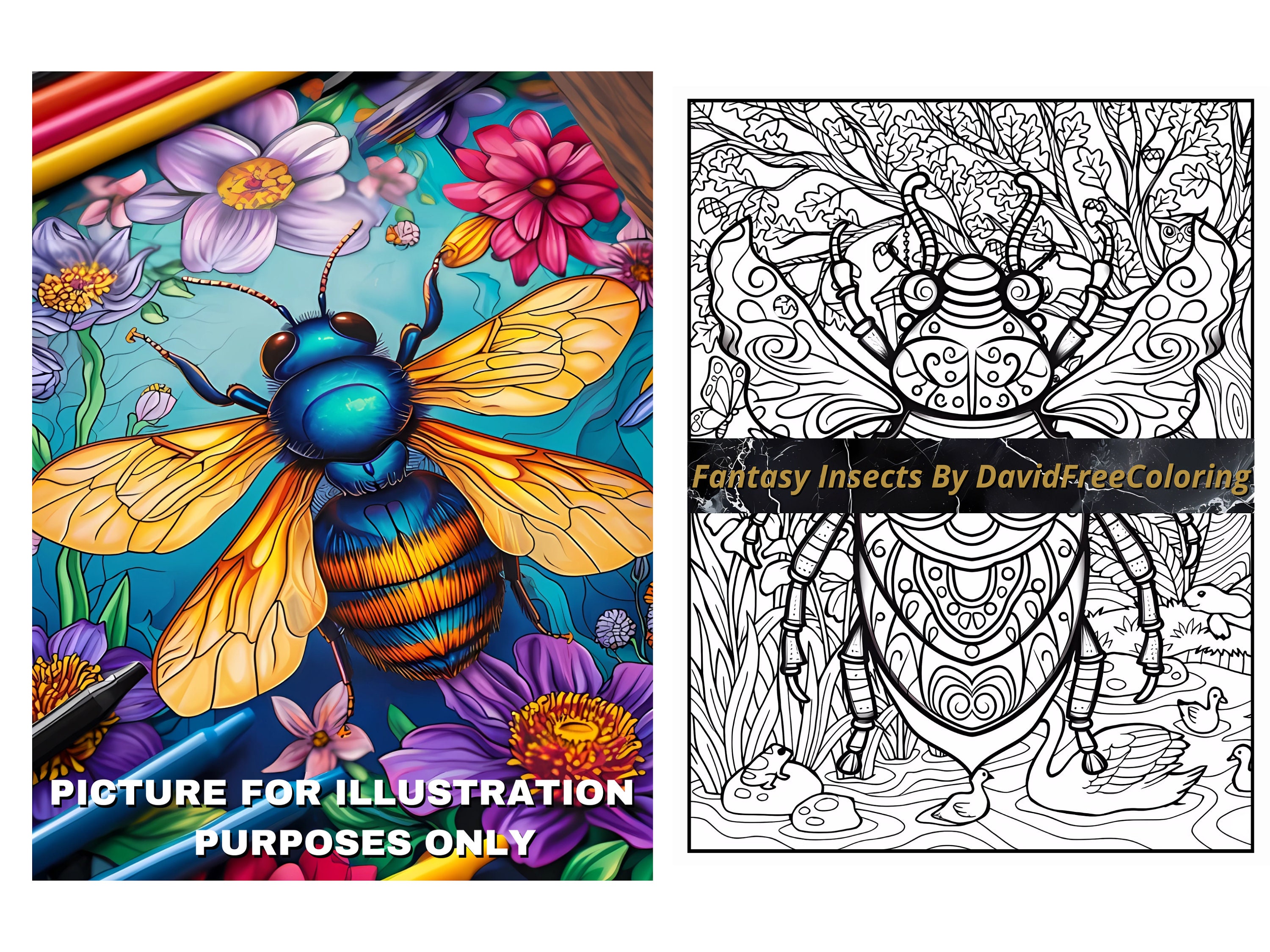 50 Fantasy Insects Coloring Book Butterfly Images for Adult Coloring ...