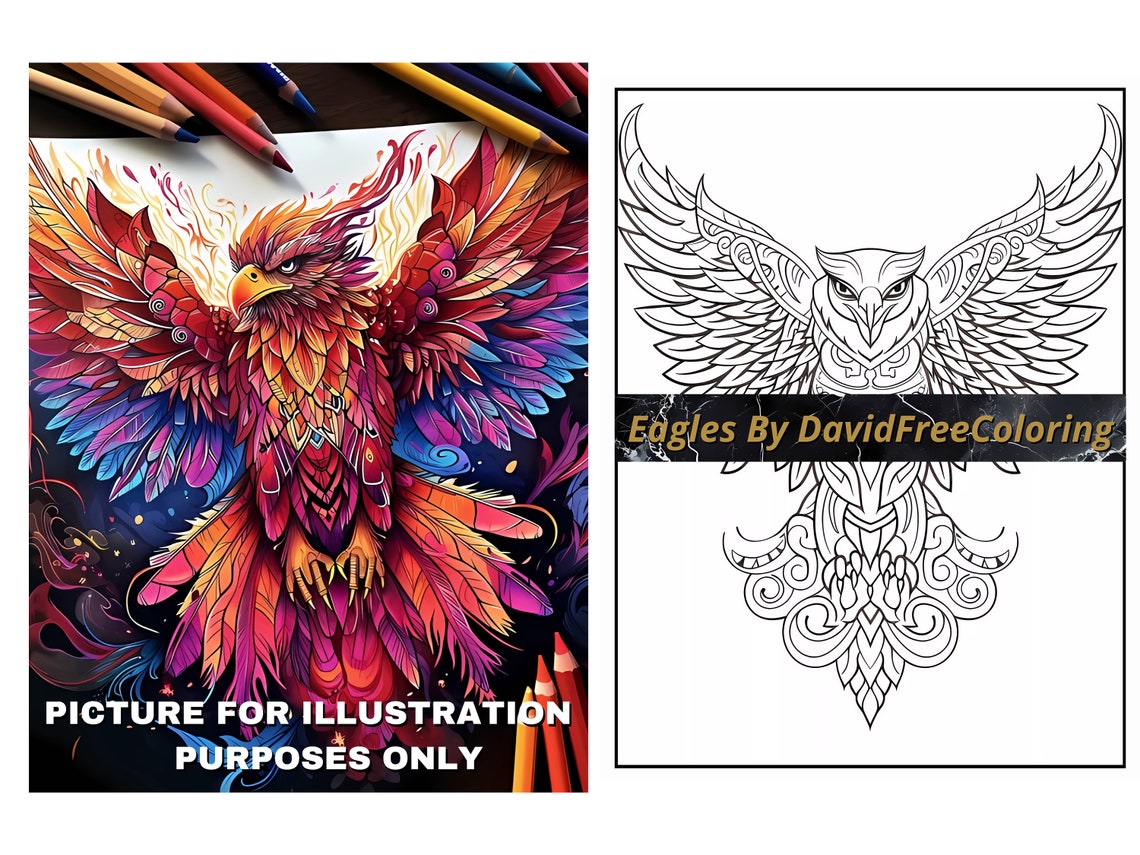 40 Eagles Coloring Book Eagles Coloring Image for Adult Coloring Pages ...