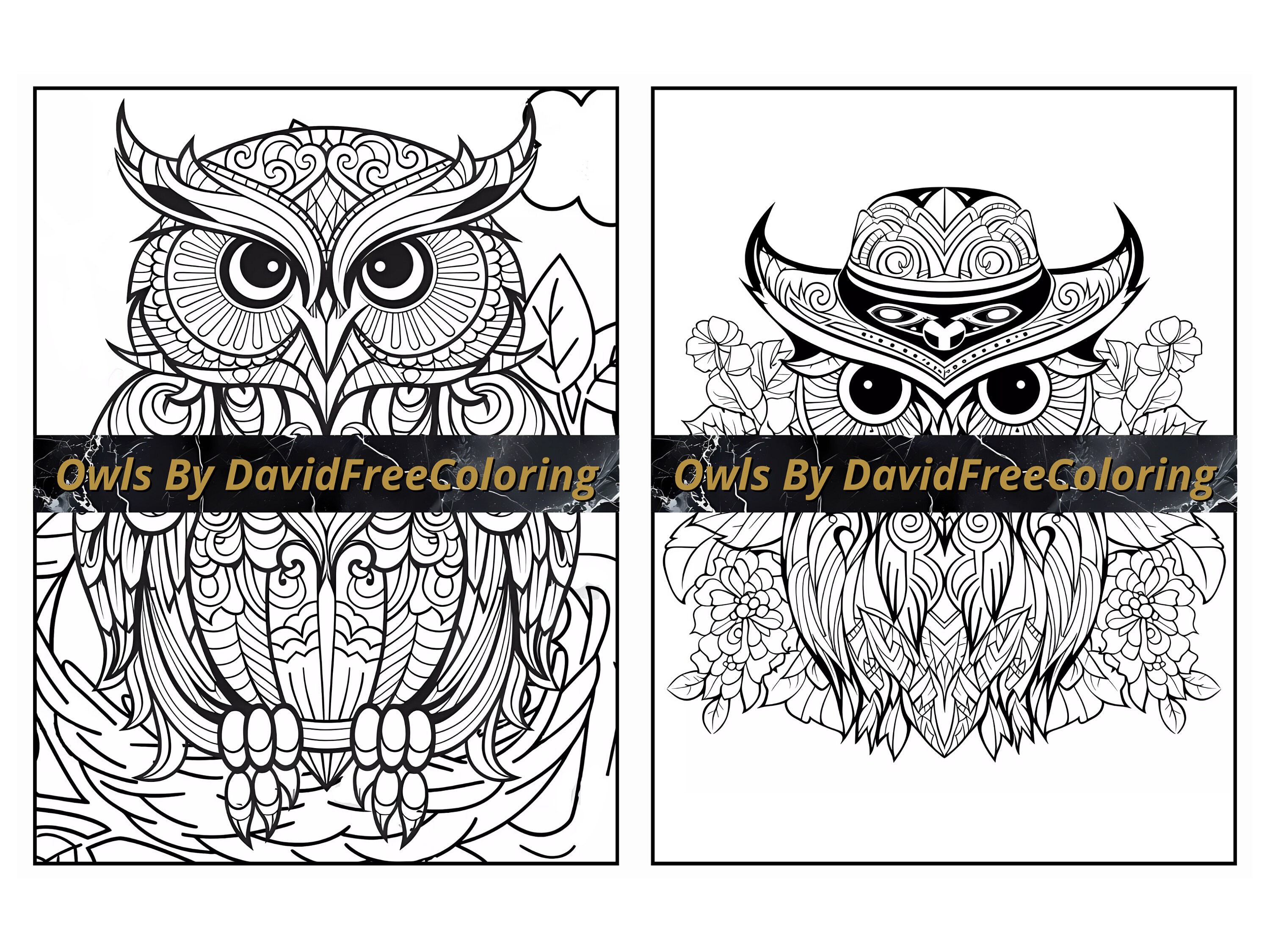 80 Owls Coloring Book Cute Owls Images for Adult Coloring Pages ...