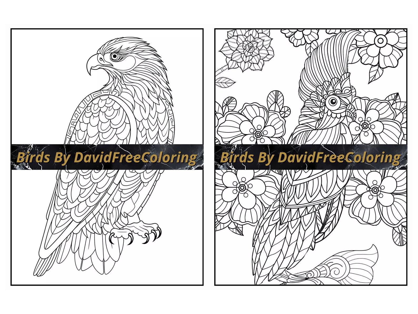 40 Birds Coloring Book Birds Coloring Images for Adult Coloring Pages ...
