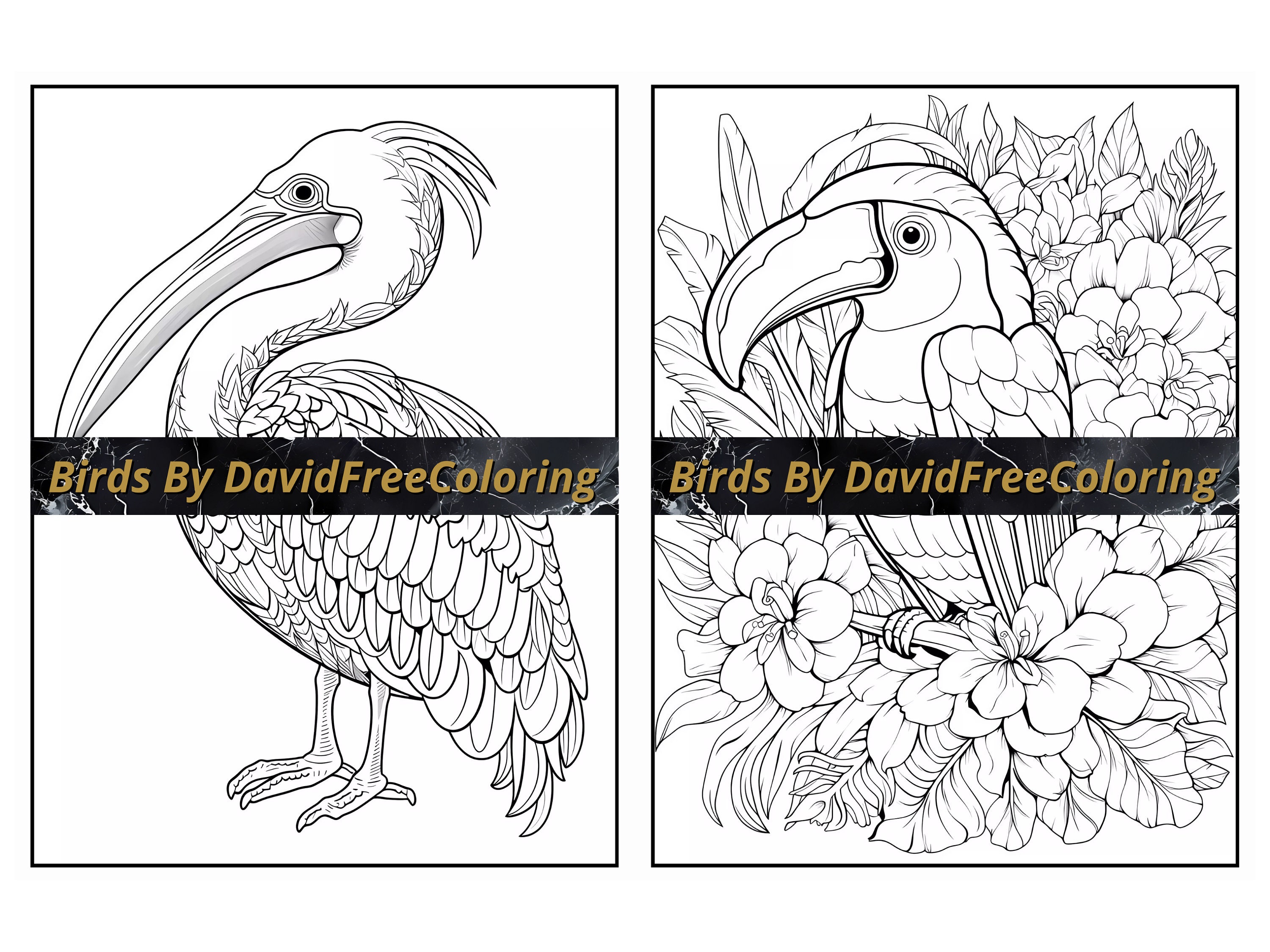 40 Birds Coloring Book Birds Coloring Images for Adult Coloring Pages ...