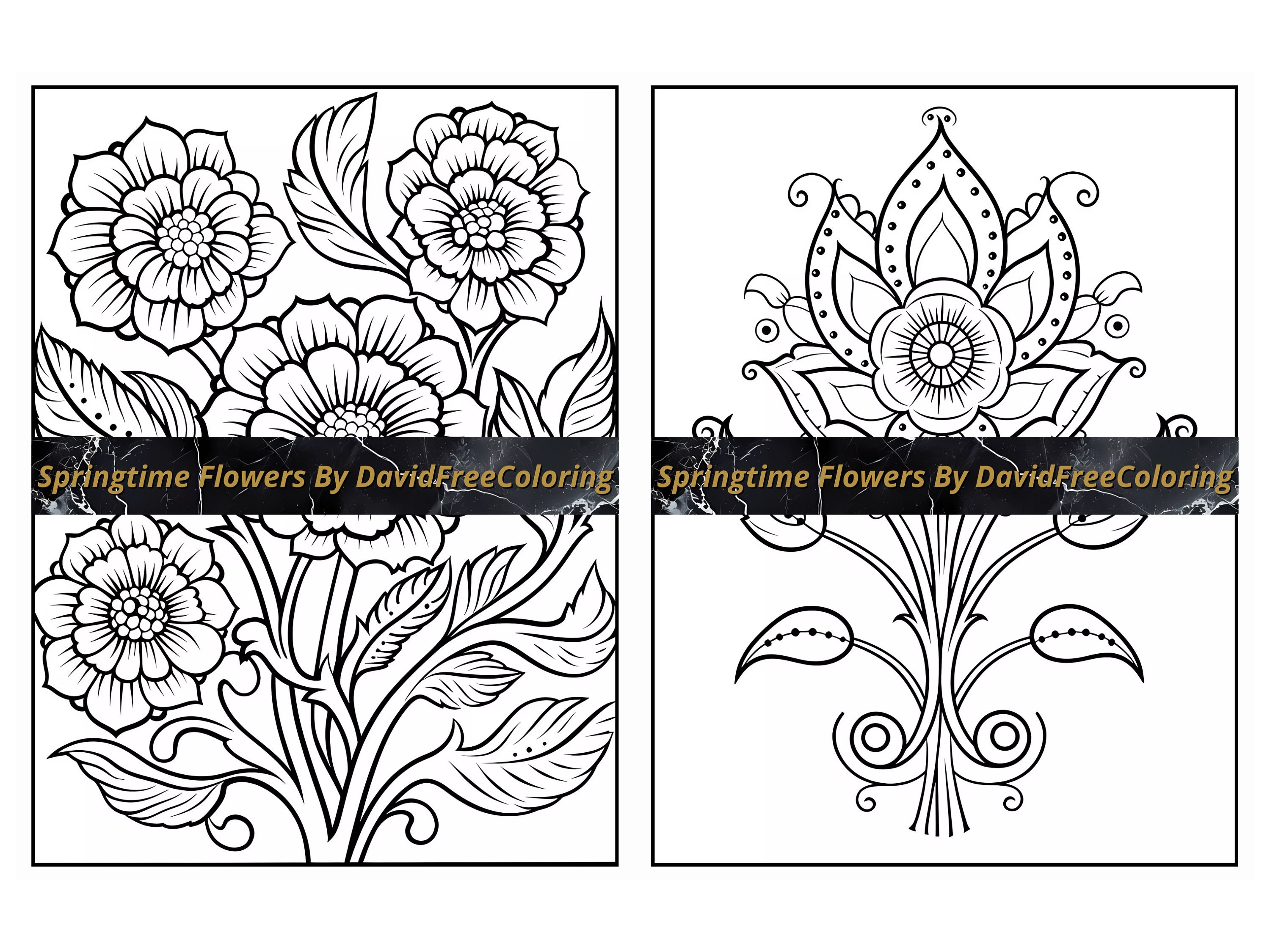 80 Springtime Flowers Coloring Book Spring Images for Adult Coloring ...