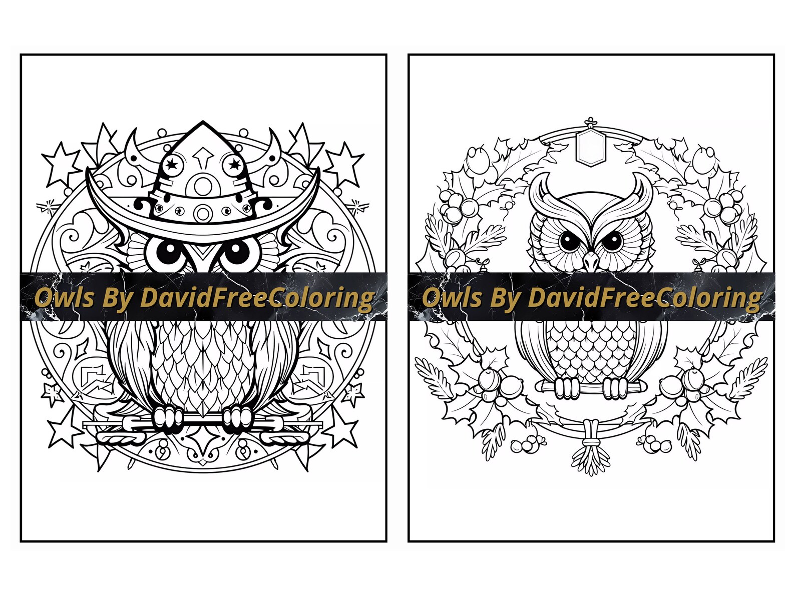 80 Owls Coloring Book Cute Owls Images for Adult Coloring Pages ...