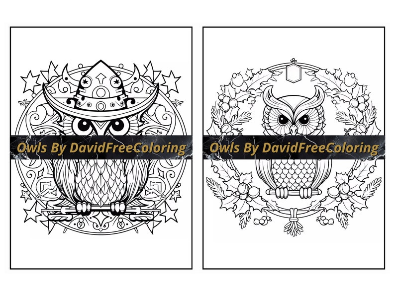 80 Owls Coloring Book Cute Owls Images for Adult Coloring Pages ...