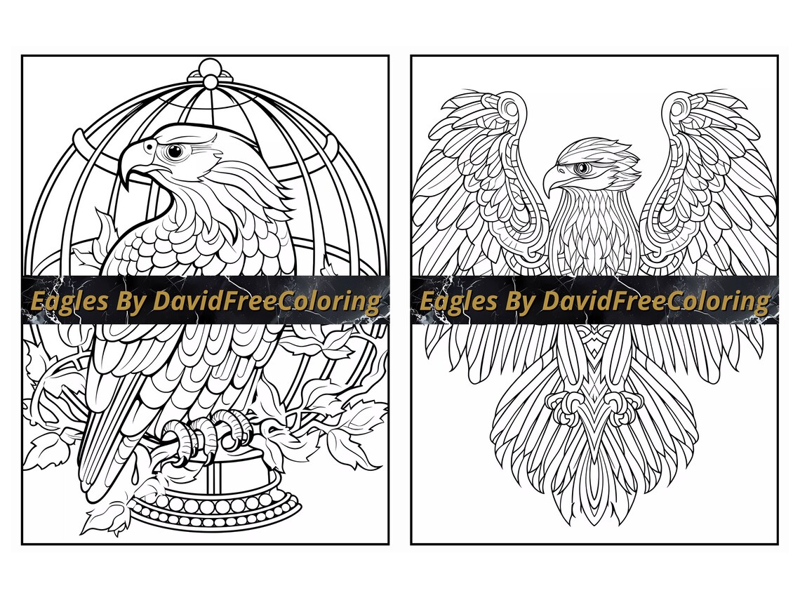 40 Eagles Coloring Book Eagles Coloring Image for Adult Coloring Pages ...