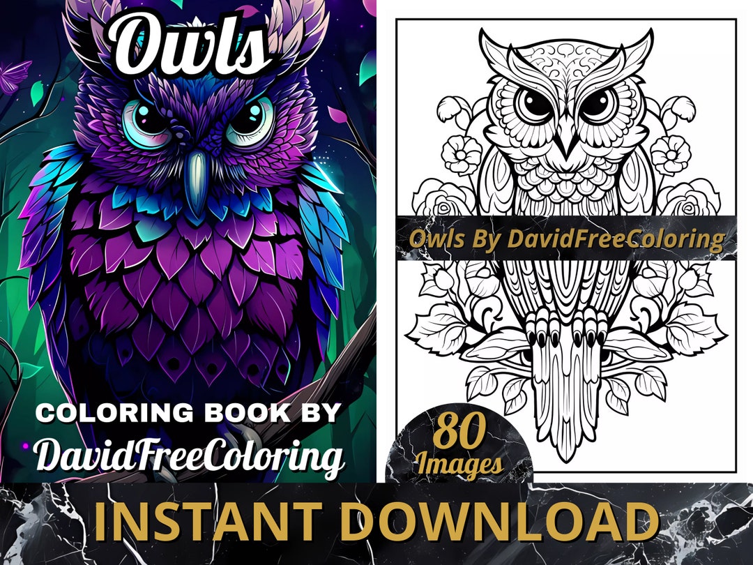 80 Owls Coloring Book Cute Owls Images for Adult Coloring Pages ...