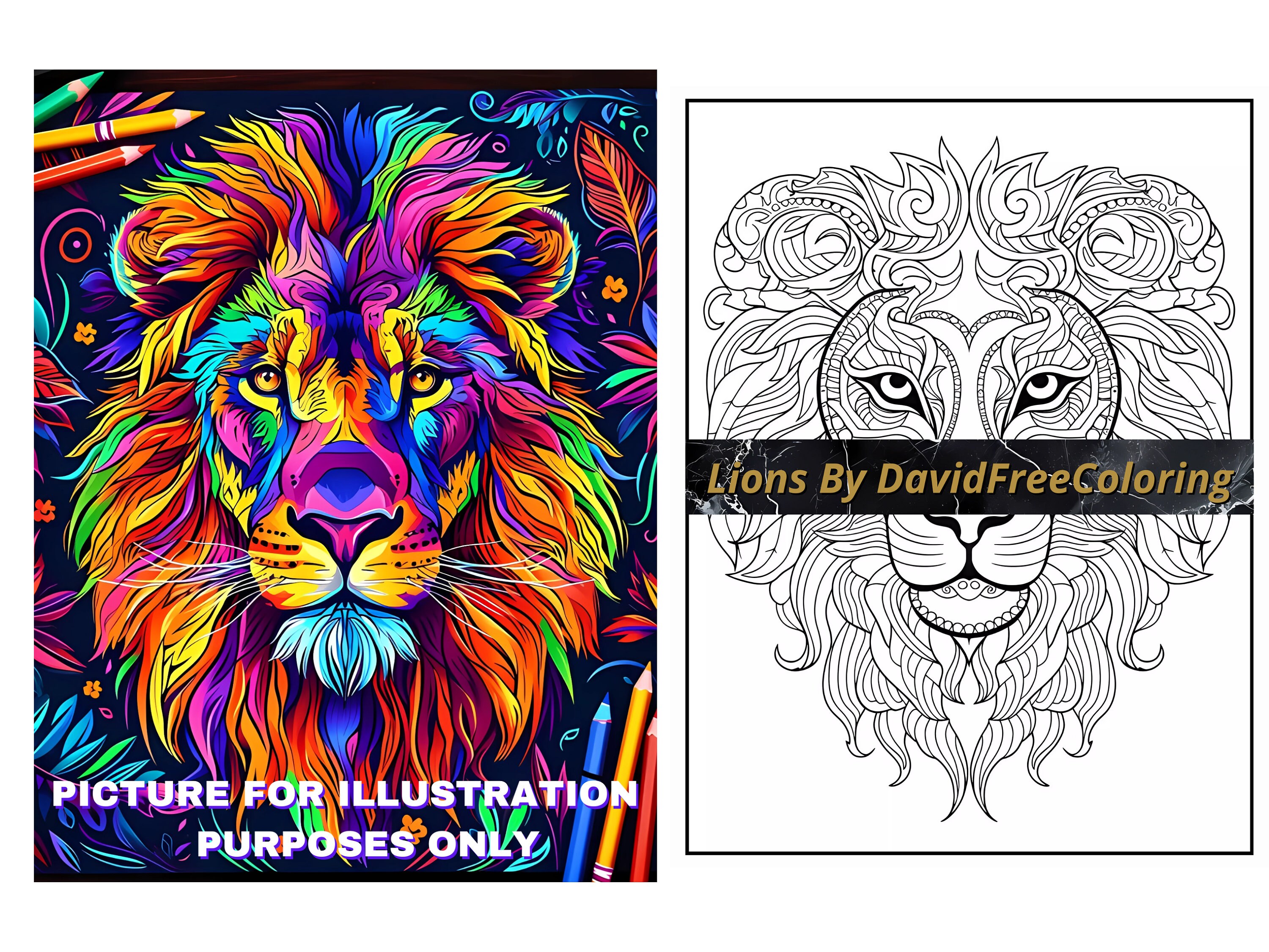 50 Lions Coloring Book Lions Coloring Images for Adult Coloring Pages ...